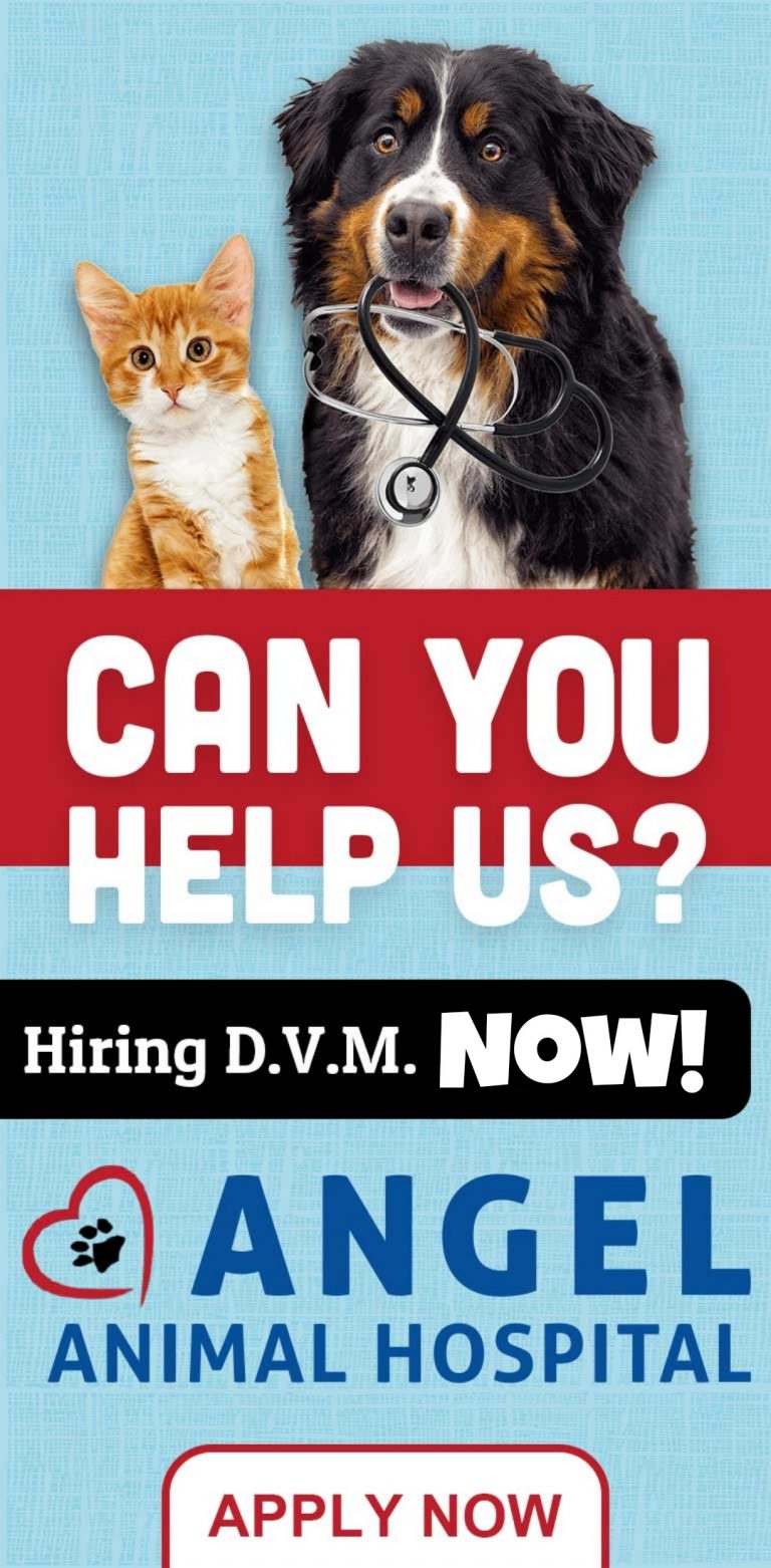 Greenwood Veterinarian - Angel Animal Hospital